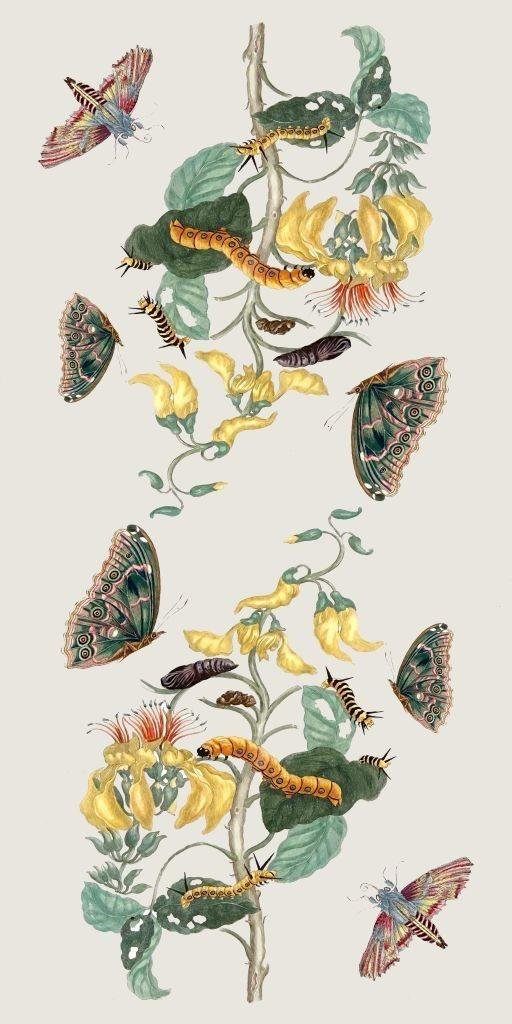 ANNA 100% cashmere Yellow Caterpillar Print – AnnaIriongroup